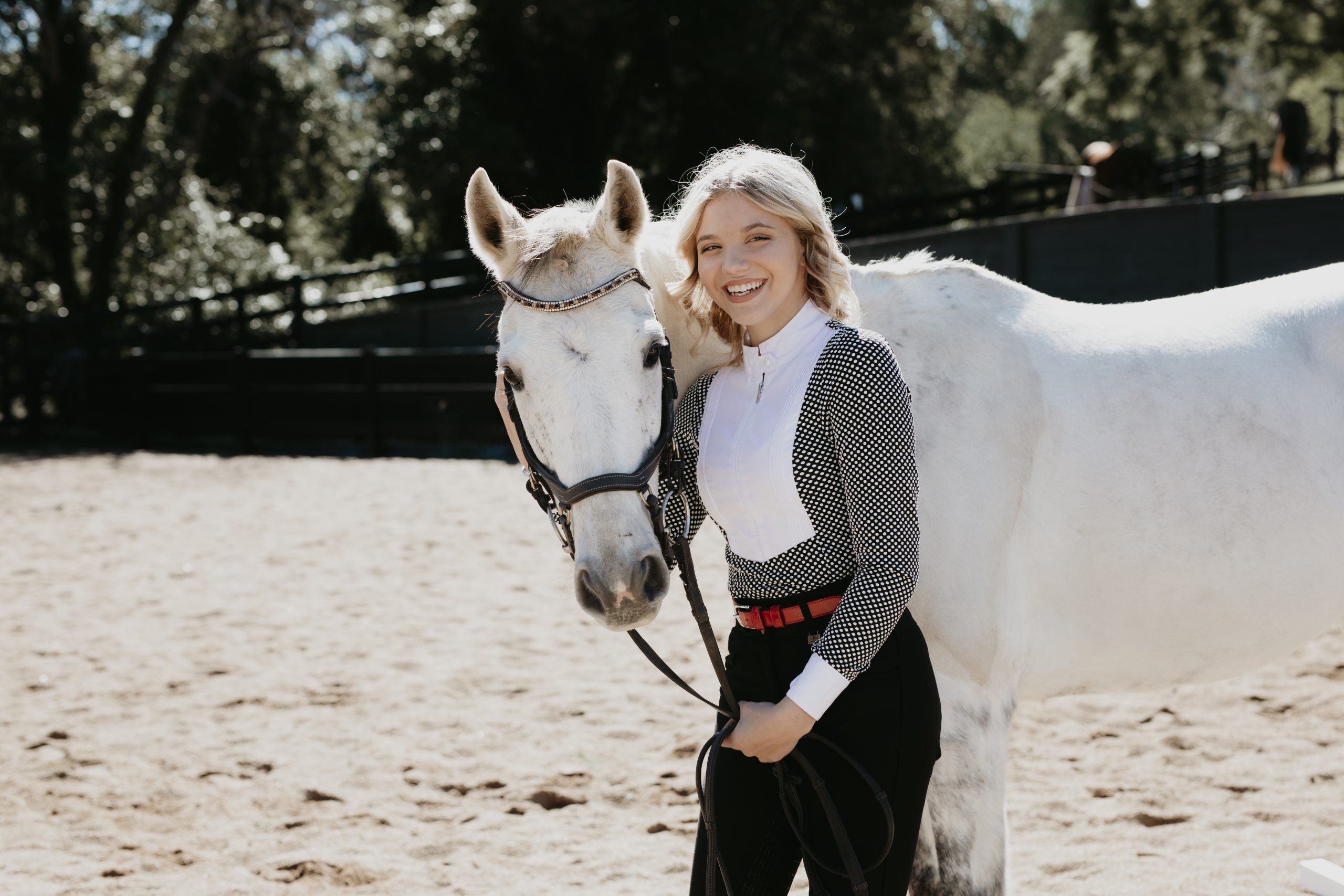 Equestrian clothing. Polocrosse, dressage, show jumping riding clothes